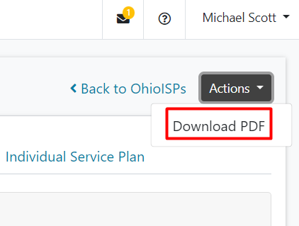 Accessing the Ohio ISP from the provider portal of the county board's ...